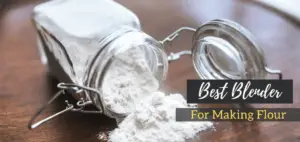 Best Blender for Making Flour Reviews 2022