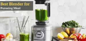 9 Best Blender for Pureeing Meat Reviews (Updated 2022)