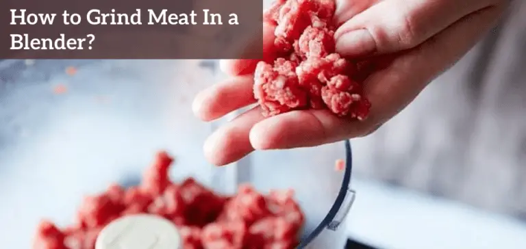 9 Best Blender for Pureeing Meat Reviews (Updated 2023)