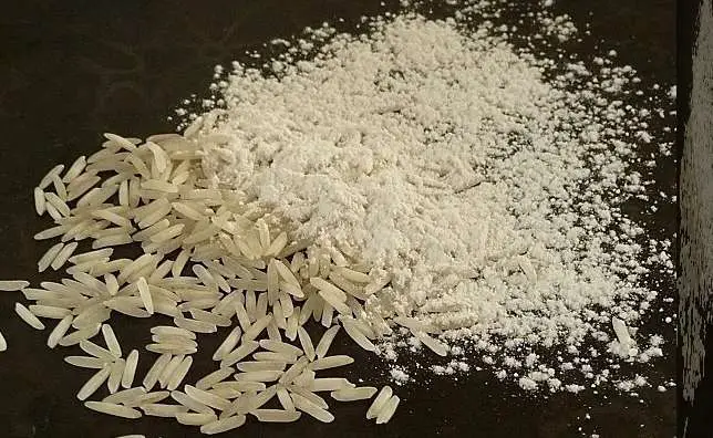 Can You Grind Rice in a Blender? All Steps Explained